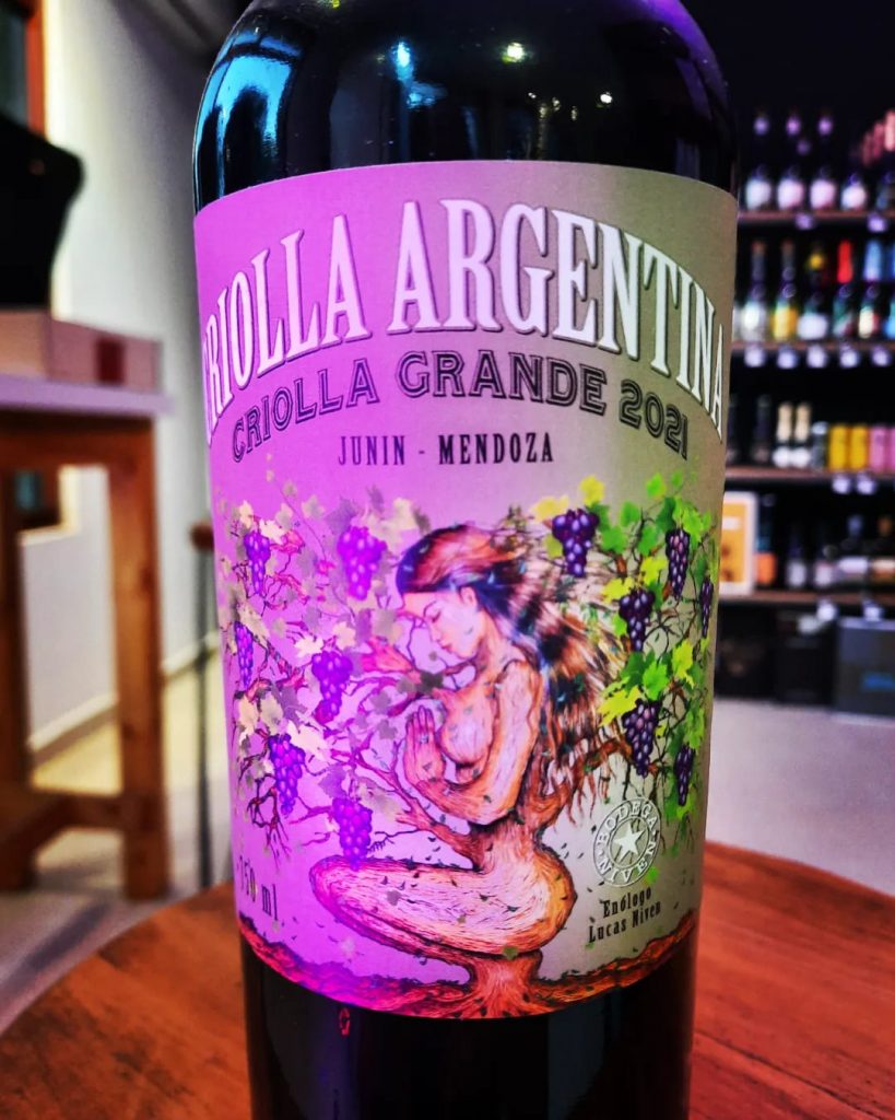 Marzo mes de vendimia en nuestro club – Revista WINE Market